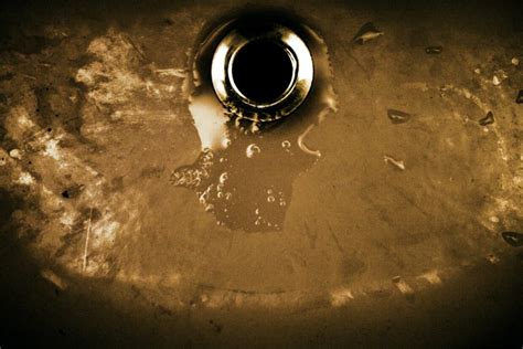 How To Install A New Shower Drain A Step By Step Guide — Diyer