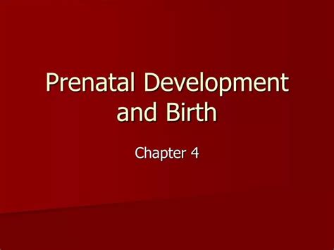 Ppt Prenatal Development And Birth Powerpoint Presentation Free
