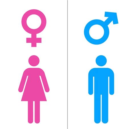 Male And Female Icons With Blue And Pink Color Gender Symbol Vector