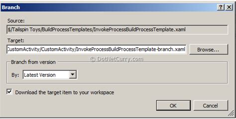 vs 2010 build customization custom activity invoke
