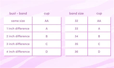 Bra Cup Size Measurement Chart