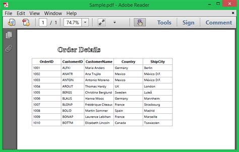 export to pdf in wpf datagrid control syncfusion