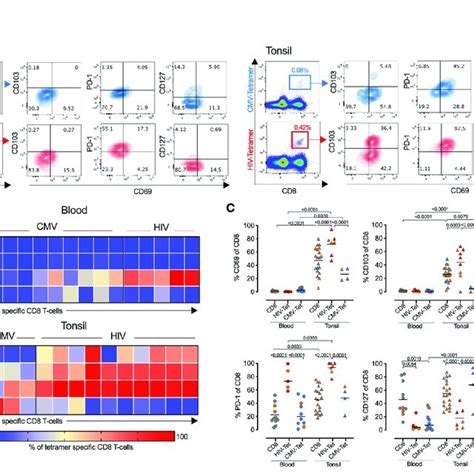 Hiv Specific Cd8 T Cells Express High Levels Of Pd 1 And Cd69