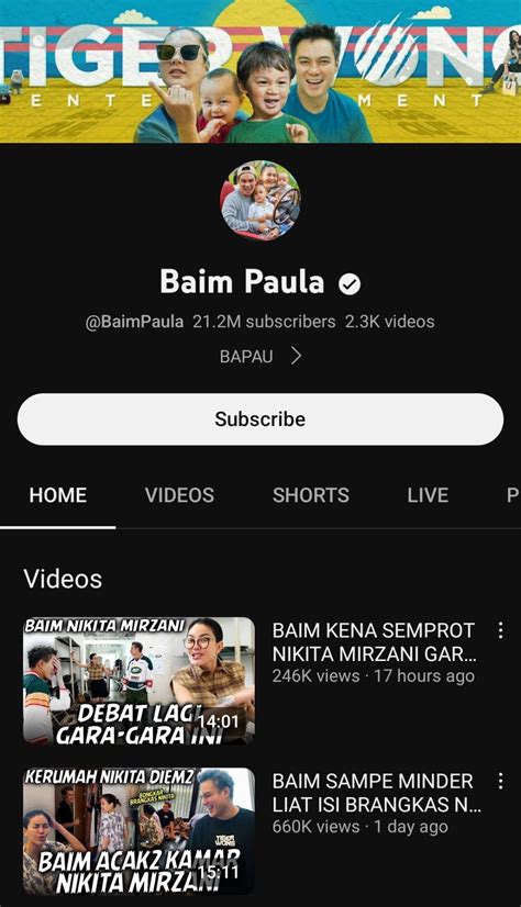 5 Youtuber Dengan Subscriber Terbanyak Di Indonesia S