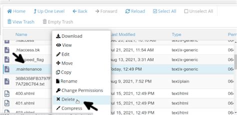 solve error “an automated wordpress update has failed to complete