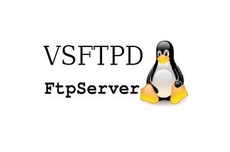 שרת ftp בלינוקס vsftpd netme