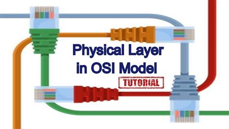 Physical Layer In Osi Model Physical Layer Protocols Physical Layer