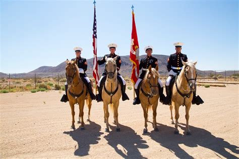 Dvids Images A Day In The Life Of The Marine Corps Mounted Color