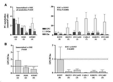 Intracellular Concentrations Of Phosphatidylcholine Metabolites
