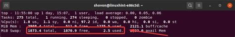 how to check linux memory usage linux hint