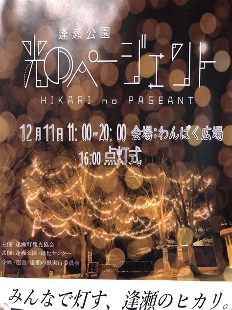 逢瀬公園光のページェント 12月27日 火 まで。