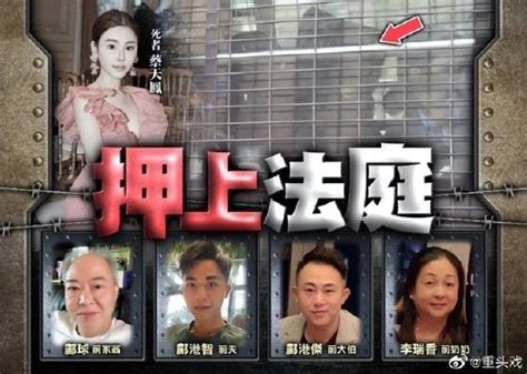 蔡天凤案被告于7月31日再审 前夫家三人被控谋杀 手机新浪网