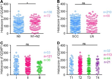 Expression Level Of Iqgap1 In Hnscc Correlated With Lymph Node Status