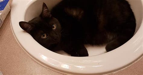 He Doesnt Like To Be Alone So When We Shower He Waits For Us In The
