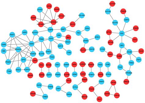 Rna Sequencing Uncovers The Key Long Non‑coding Rnas And Potential