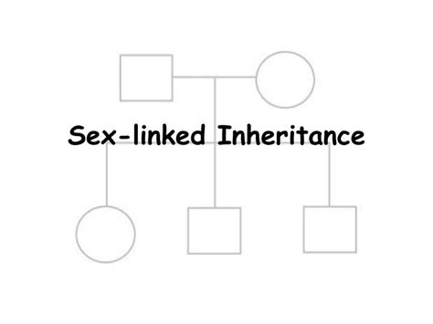 ppt sex linked inheritance powerpoint presentation free download