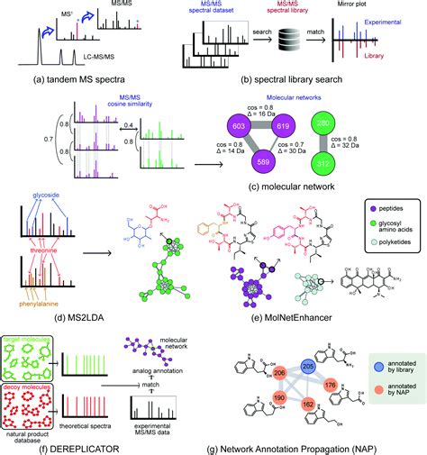 Linking Genomics And Metabolomics To Chart Specialized Metabolic