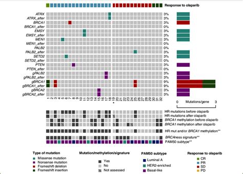 Oncoprint List Of Mutations In Homologous Recombination Genes In Triple
