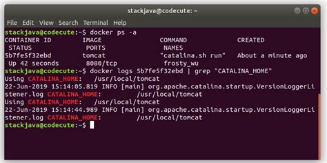 hướng dẫn grep logs docker filter lọc logs docker container stackjava