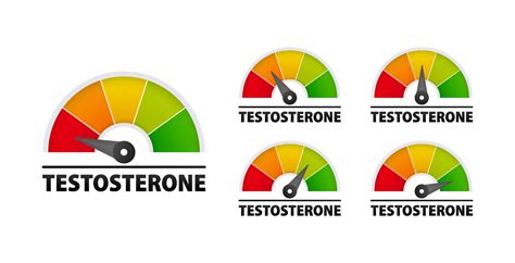 Testosterone Level Metering Scale Tracking And Managing Your Hormonal