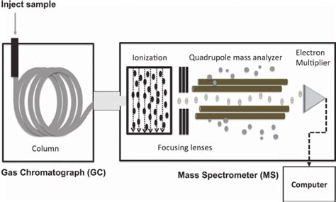 [download 28 ] Schematic Diagram Gas Chromatography Mass Spectrometry