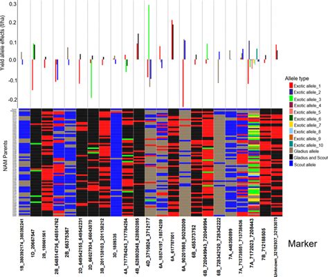 Distribution Of Allele Effects Upper Bar Graph Of The Detected Mta In