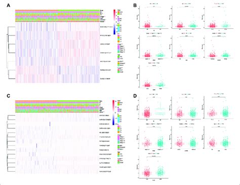 Association Of The Risk Signature With Clinicopathological Features