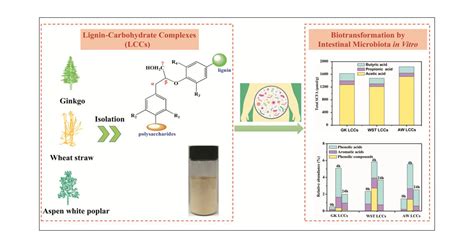 Structural Characterization Of Lignin Carbohydrate Complexes Lccs And