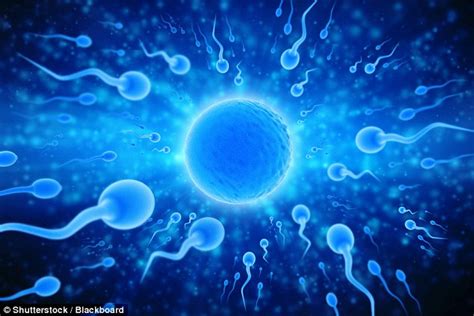 the mathematical formula for sperm s success daily mail