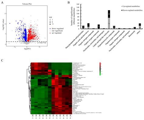 Ijms Free Full Text Integrated Metabolomic And Transcriptomic