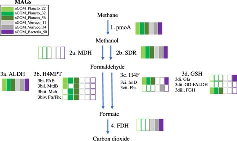 Figure 1 From Metagenomics And Metatranscriptomics Reveal Broadly