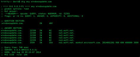 performing dns lookups with dig david merrick
