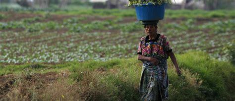 Can Inequality Be Blamed On The Agricultural Revolution World