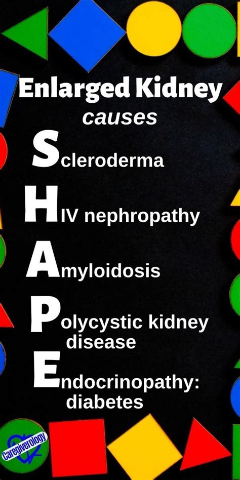 Many Medical Mnemonics For Memorization Caregiverology Medical