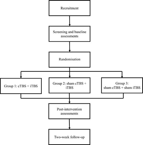Flowchart Of The Proposed Randomised Controlled Trial Download