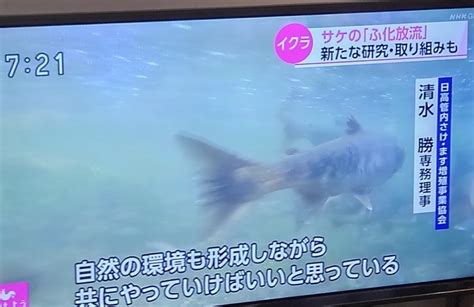 オイカワ丸 On Twitter エヌエチケーのニュースを呆然と見ていたらサケのことしていた。明確に孵化放流だけでは増えない、むしろ弊害が