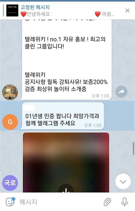 수사 대상될라 성착취 N번방 수만명 텔렉시트 파이낸셜뉴스