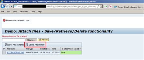 attach files with save retrieve and delete functionality in web dynpro