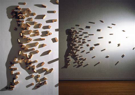 shadow illusion art