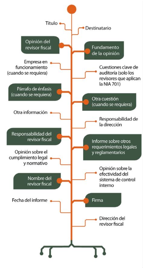Guía Estructura Del Informe Del Revisor Fiscal Bajo Nia 701
