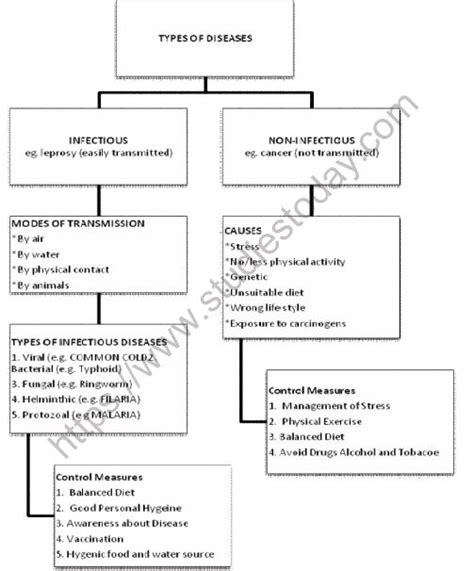 Cbse Class 12 Biology Human Reproduction Minds Map