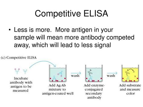 Ppt Elisa Aka Enzyme Linked Immunosorbent Assay Powerpoint
