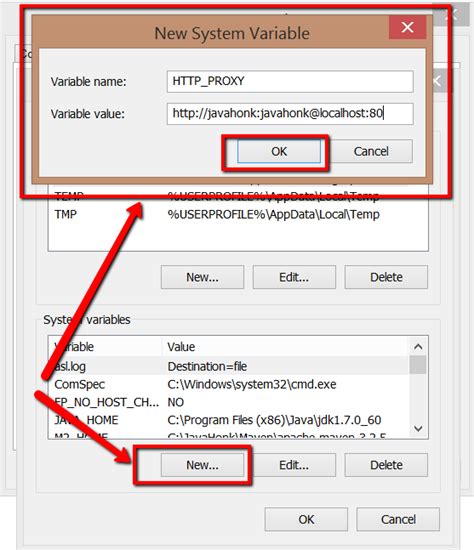 setting proxy environment variable techi works
