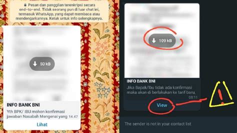 Lakukan Ini Jika Terlanjur Pencet View Di Modus Penipuan Whatsapp