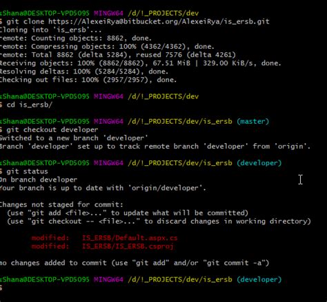 git cant add files to commit stack overflow