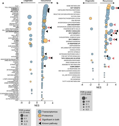 Gene Set Enrichment Analysis Of Transcriptomics And Proteomics Revealed