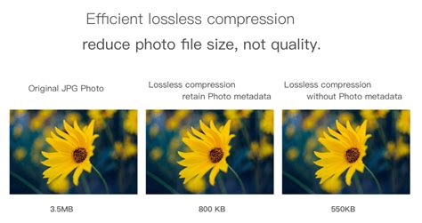 photopress best lossless compression and resizing app for mac fireebok
