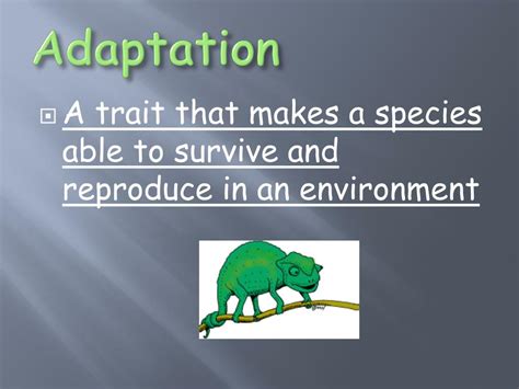 Ppt Evolution Vocabulary Powerpoint Presentation Free Download Id