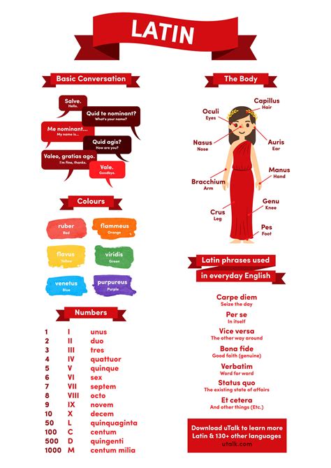Beginner Latin Daily Sex Book