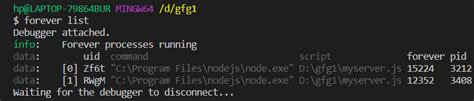 ¿cómo ejecutar una aplicación node js de forma permanente acervo lima